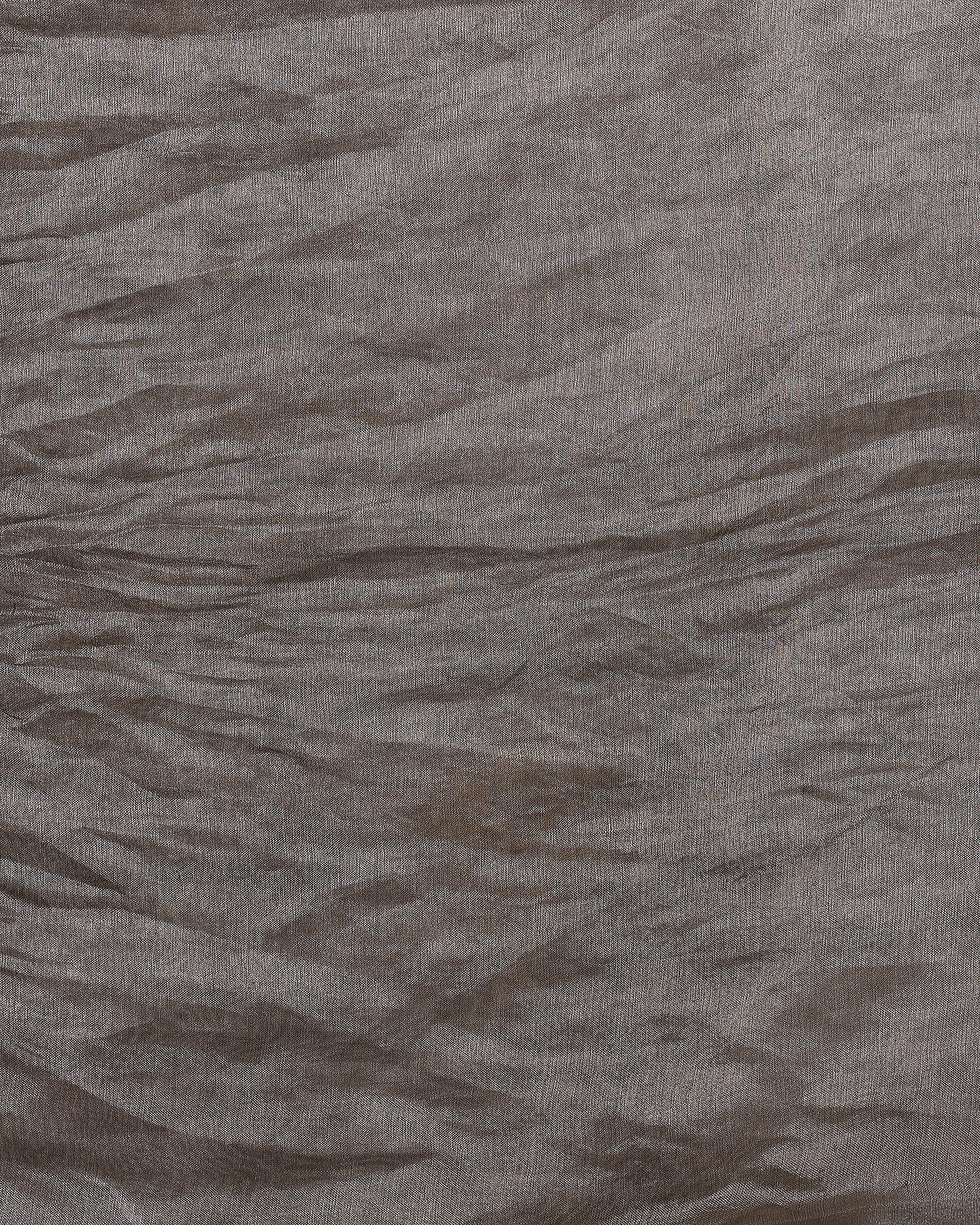 Handloom Silk Tissue Organza Saree With Stripes